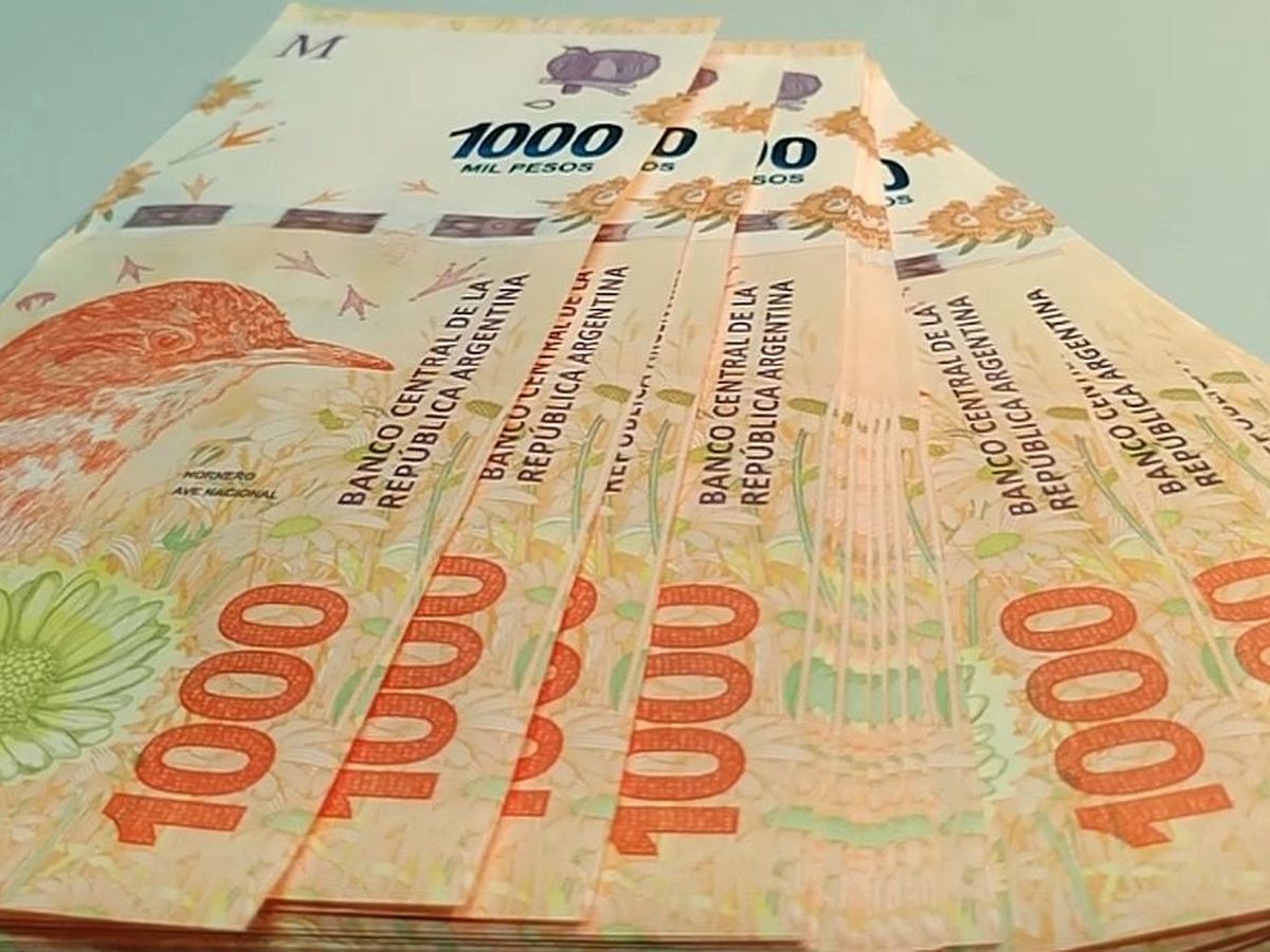 ANSES: nuevos créditos de hasta $400.000 mil para Jubilados y ...