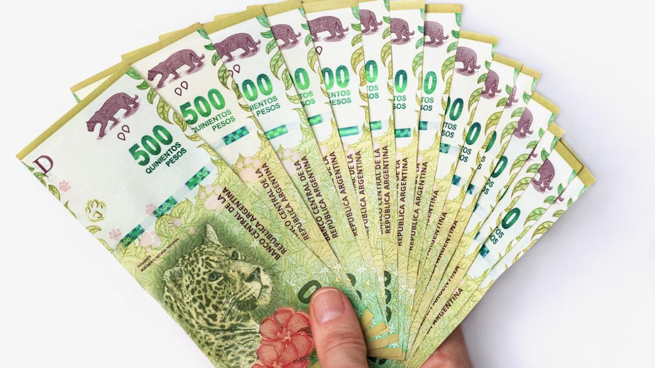 ANSES: paga por única vez un Bono por Subsidio de Contención Familiar ...